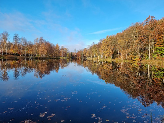 Senhösten 2024 :: Tollerupsjön